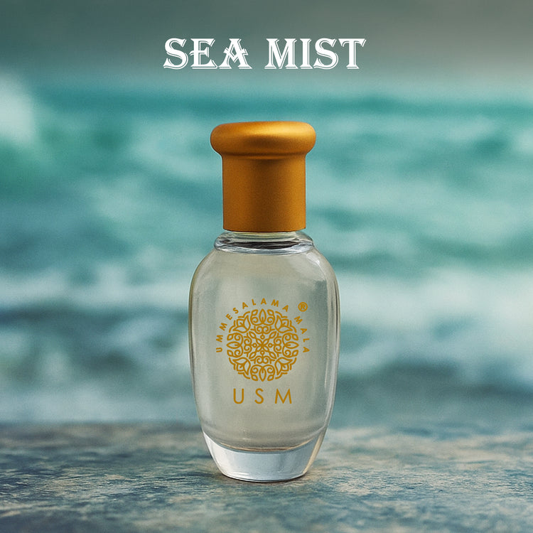 Sea Mist – theusmstore